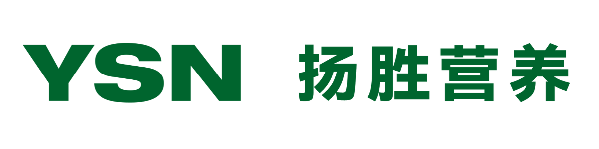 扬胜 YSN Technologies